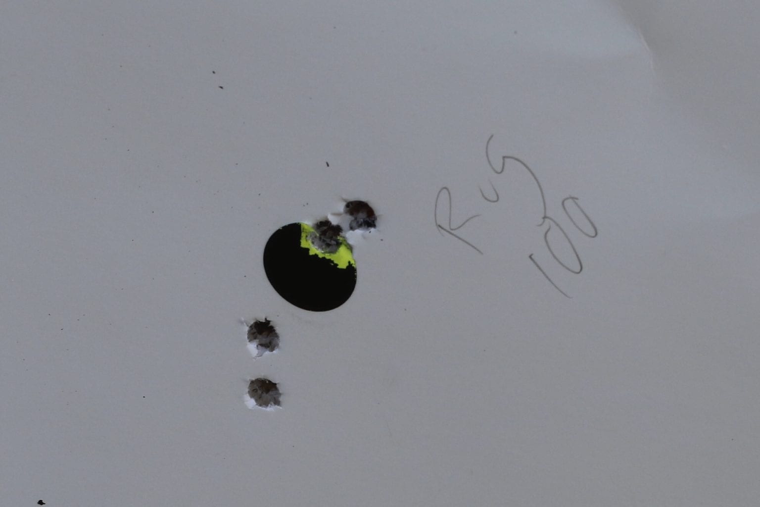 Ruger American Rifle — AR Mag-Fed Bolt Action in .223
