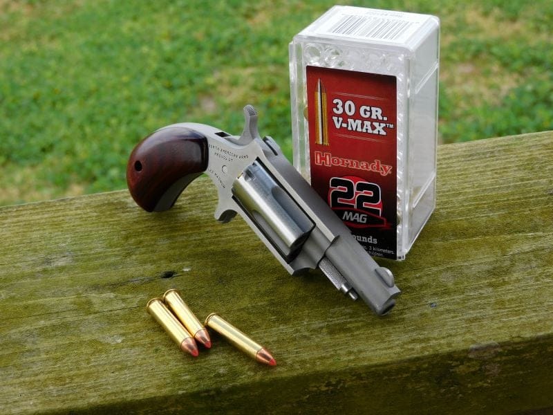 Ammo Test: Hornady 22 Magnum 30 Grain V-Max - The Mag Life