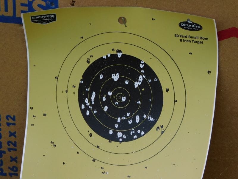 Birdshot: Is It Good for Home Defense? - The Mag Life