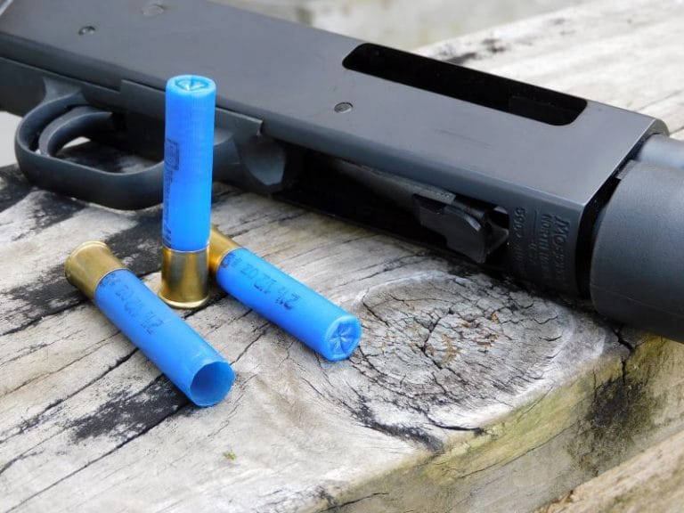 Ammo Test: .410 Bore #9 Birdshot - The Mag Life