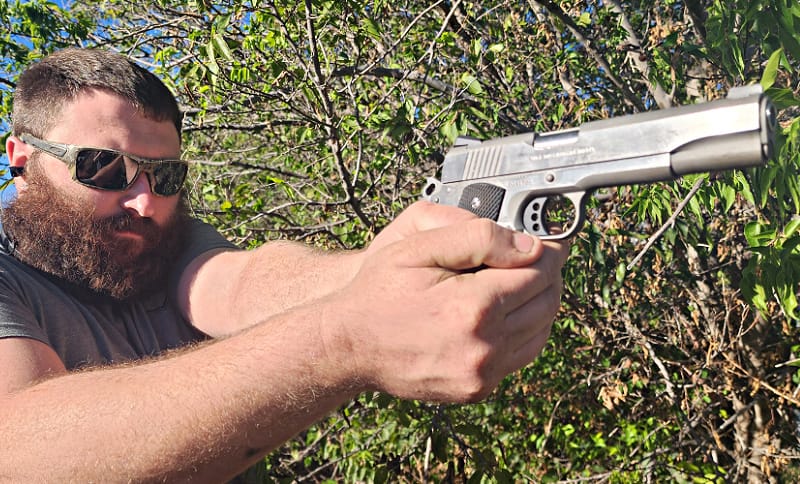 Colt Delta Elite: A Detailed Review - The Mag Life