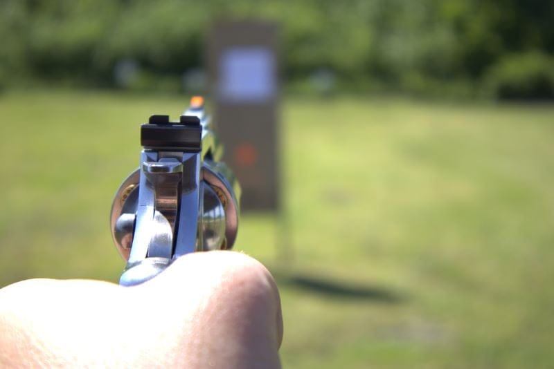 Colt Python .357 Magnum 2.5-Inch: Range Review - The Mag Life